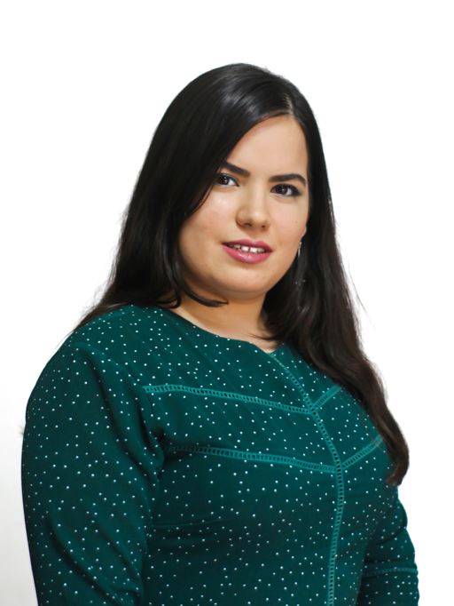 Management / Administration - Israel Institute of Materials ...